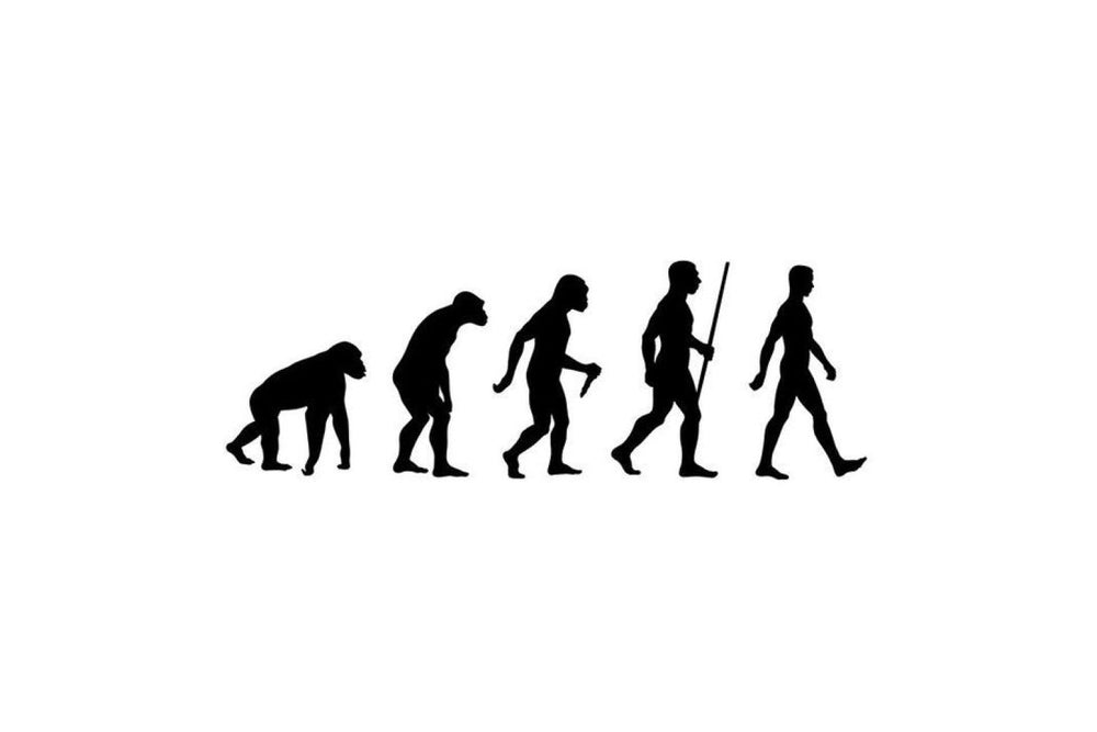 History of stickers – The Gareeb Store